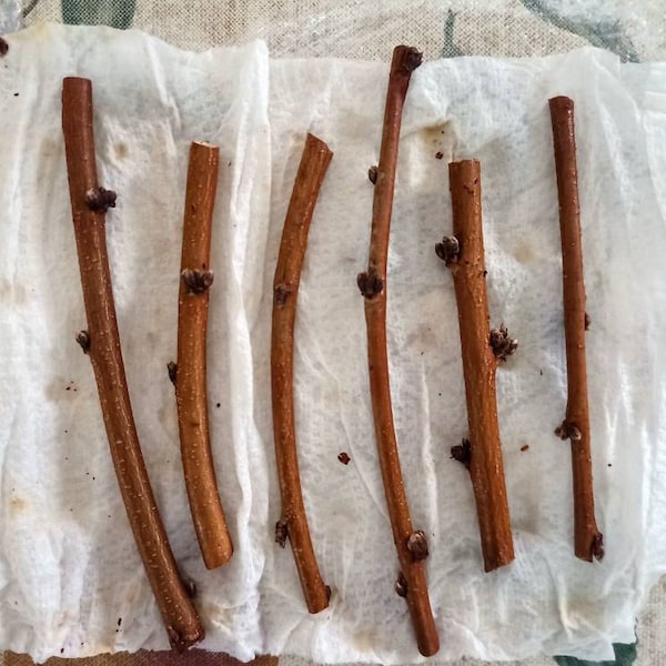 Emerald Pluot - Plum X Apricot Hybrid (5 Scion/cuttings) - Etsy