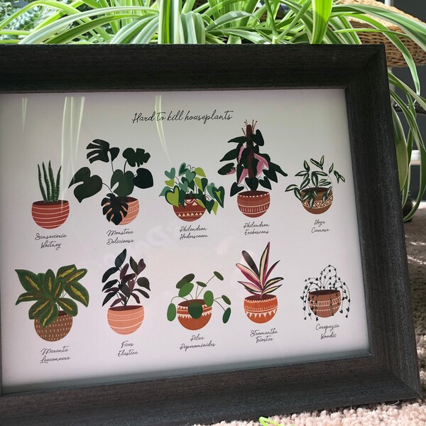 Beginner House Plant Poster, House Plant Addict Poster, Pretty Plants ...