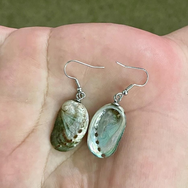 Red Abalone Art, Shell Wall Art, 3D Shell Art, Coastal Shell Art ...