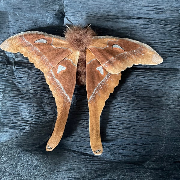 Hercules Moth , Needle Felted, Moth Figurine, Decoration, Handmade ...