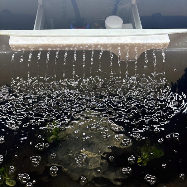 Finnex Stingray Original LED Light Riser, Attractive Stable Elevated ...