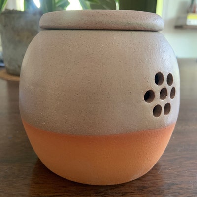 Clay Sprouter Spouting Seed Sprouter Microgreen Sprouter - Etsy