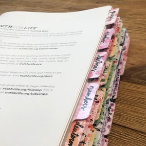 Cactus Bible Tabs - Etsy