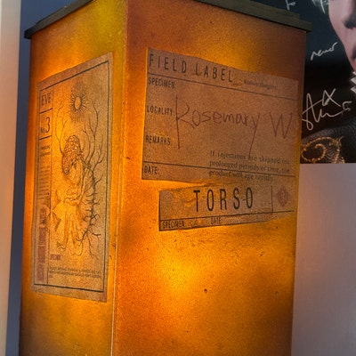 Rosemary Winters Resident Evil Village LED Flask - Etsy