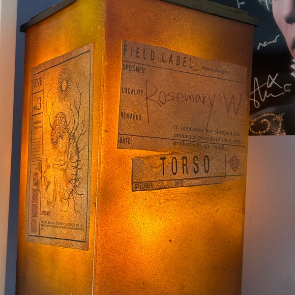 Rosemary Winters Resident Evil Village LED Flask - Etsy