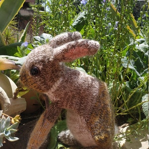 KNITTING PATTERN Wild Rabbit - Etsy