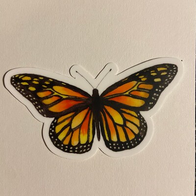 Montana Bitterroot Flower State Sticker Decal Vinyl RV Decal - Etsy