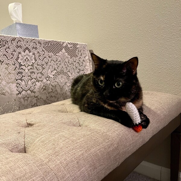 Catnip Doobie/novelty Joint - Etsy