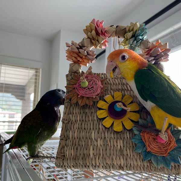 Botanical Bliss Seagrass Foraging Tray - Rose Blossom - Foraging Tray ...