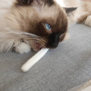 Catnip Joints Cat Toy 3 Pack | Etsy