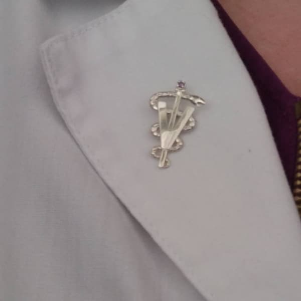DVM Veterinarian Graduation Pin Silver - Etsy