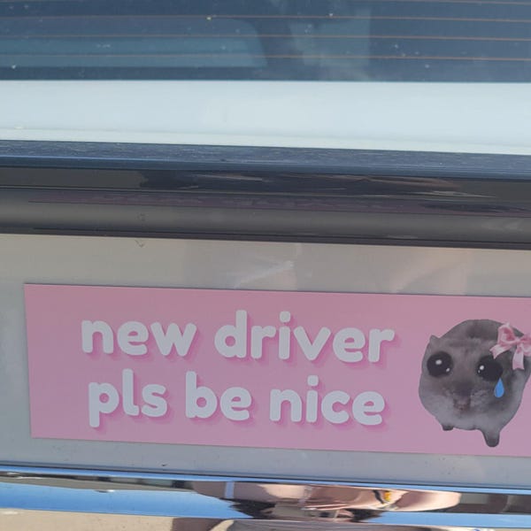 Michael Jackson Thriller Halloween Bumper Sticker | Dancing Raccoon ...