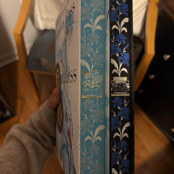 Lightlark Series Sprayed and Stenciled Edges - Etsy