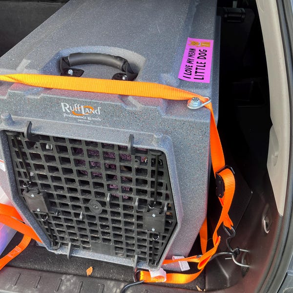 I Love My Mean Little Dog Vinyl Bumper Sticker | Chihuahua Bumper ...