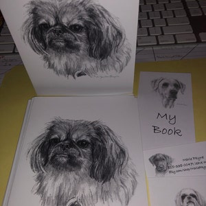 Japanese Chin Note Cards, Set of 6 Plus Envelopes, Direct From Artist ...
