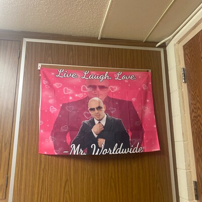 Hasbulla Collage Throw Pillow Hasbulla Collage Pillowcase - Etsy