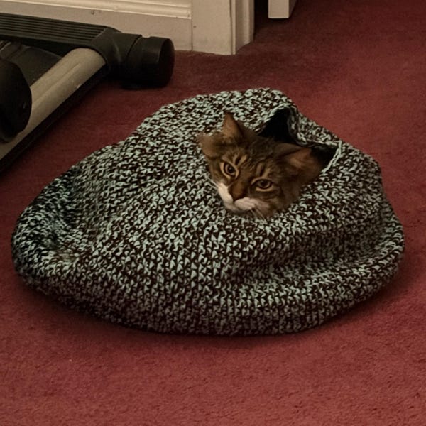 Cat Pod Crochet Pattern © - Etsy
