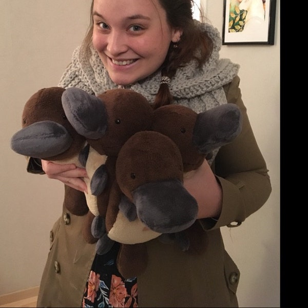 Soft & Squishy Platypus Plush - Etsy