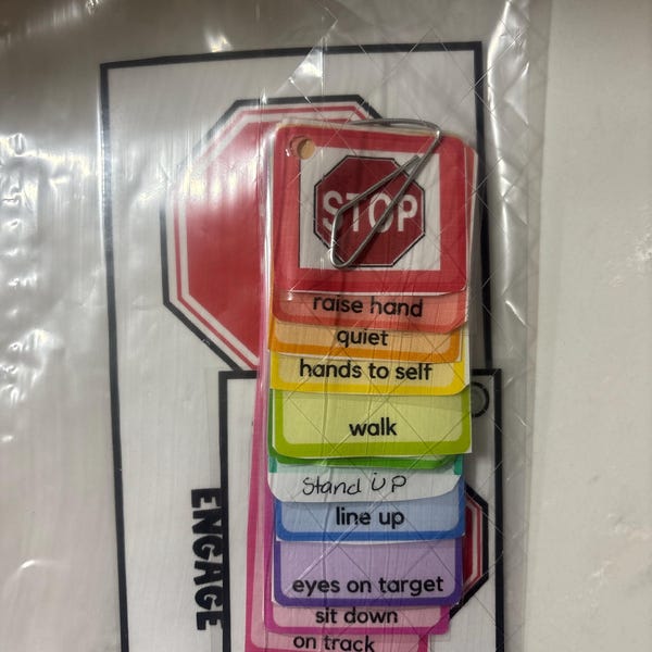 Rainbow Tiered Lanyard Visuals 2.0 Special Education Resource/tool ...