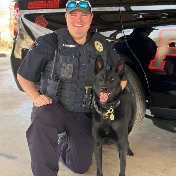 Engraved Security Style Badge Gold - Etsy UK