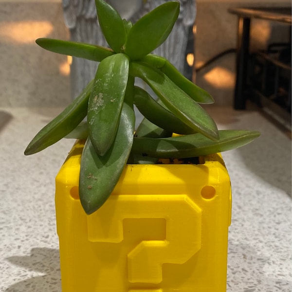 Super Retro Question Block Planter - Etsy