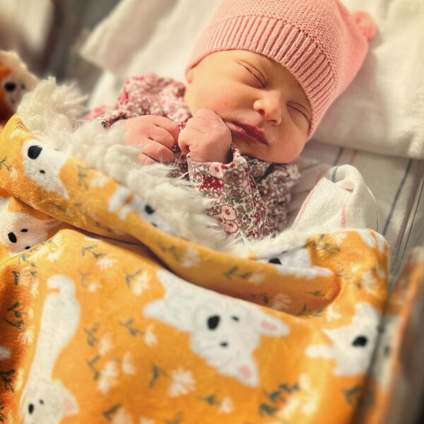 Mallard Duck Pacifier Holder: Minky Crinkle Sensory Toy - Etsy