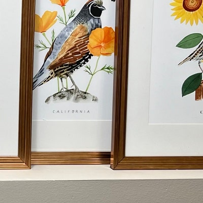 State Bird and Flower Poster Modern State Bird and Flower Illustrated ...