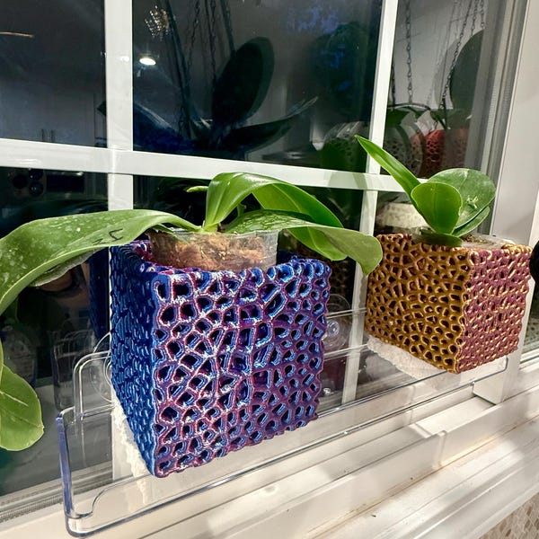 Pebble Tray for Plants (pre-washed Pebbles Included) - Etsy