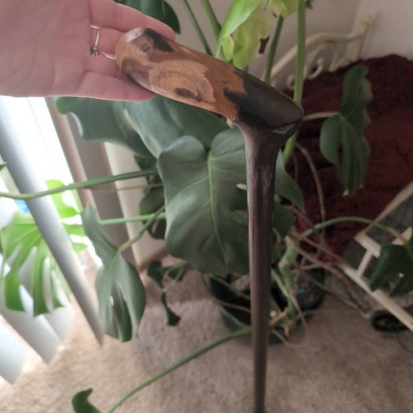 Irish Blackthorn Walking Stick | Cane Irish | Wood Hiking Cane ...