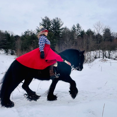 Equestrian Riding Skirt for Women Winter Riding Gear - Etsy