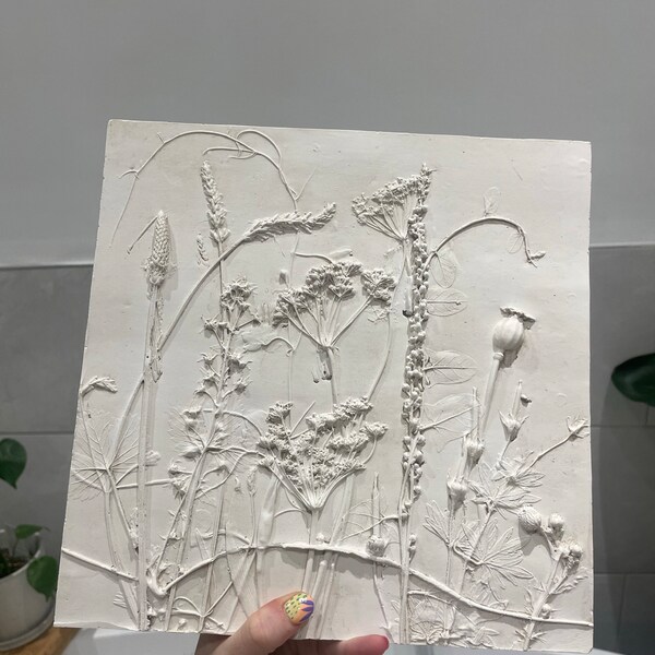 Botanical Wall Art, Plaster Relief, Douglas Fir, Pine Cones, Spruce ...