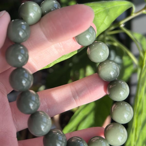 8mm Queen Conch Shell Beads Necklace| High-quality Bahamian Queen Conch ...