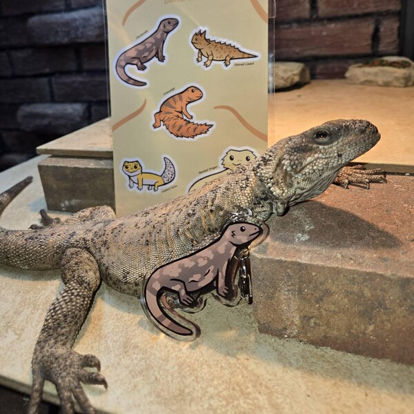 Acrid Risk of Rain Sticker Meme Risk of Rain Meme Acrid Sticker I Frew ...