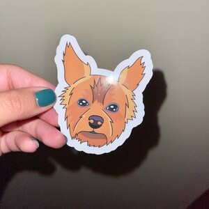 Honda Fit Adventure Car Sticker Waterproof 3 Wide | Etsy