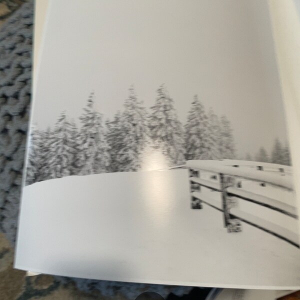 Black Tree Print | Black and White | Tree Wall Art | Minimalist Art ...