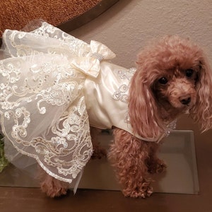 Pink Dog Dress Rose Gold Dog Dress Wedding Dog Dress Dog - Etsy