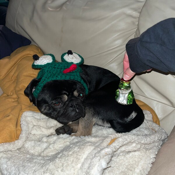Crochet Flower Dog Hat; Flower Pug Hat; Hats for Dogs; Hats for Pugs ...