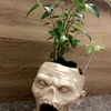 Horror Planter - Zombie Bust Plant Pot, Scary & Dark Gothic Sculpture ...