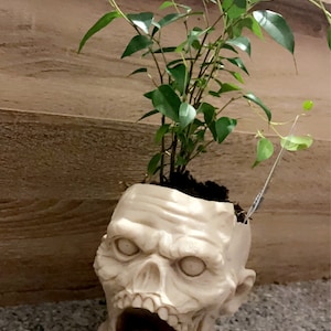 Horror Planter Zombie Bust Plant Pot, Scary & Dark Gothic Sculpture - Etsy