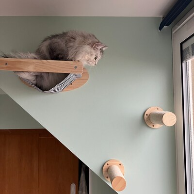 Cat Climbing Wall, Cat Wall Furniture, Cat Shelves Cat Playground ...