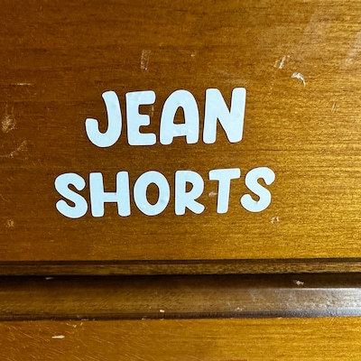 NASA Pink Worm Sticker Laptop Sticker, Water Bottle Sticker, Phone ...