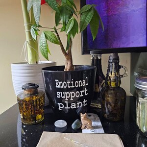 Anxiety Plant Pot - Etsy