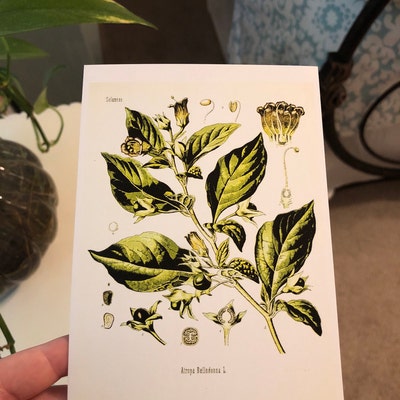 Natural Wonders Postcard Set2 Set of 20 Postcards Vintage Nature ...