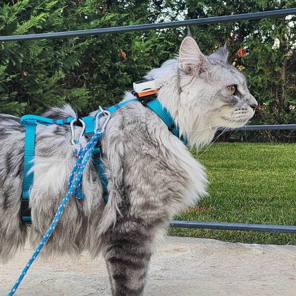 ESCAPE Proof CAT HARNESS, Adjustable Safety Adventure Cat Harness ...