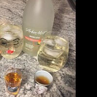 Don't Be a Skankasaurus - Etsy