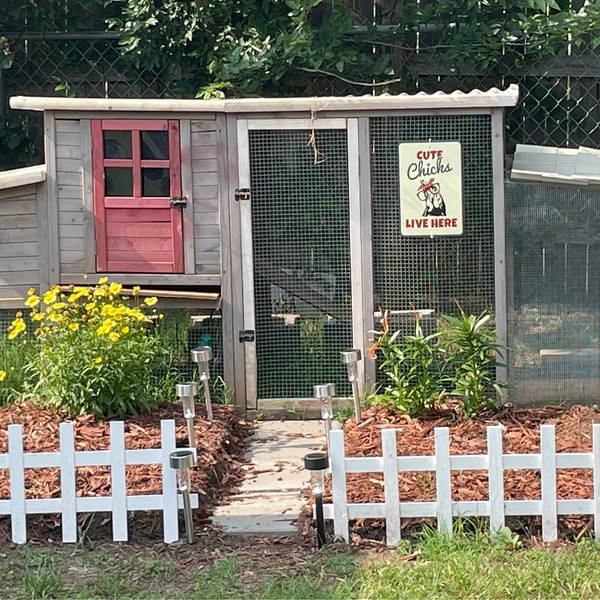 Cute Chicks Sign, Sign for Chicks, Farmers Coop, Chicken Home, Chick ...