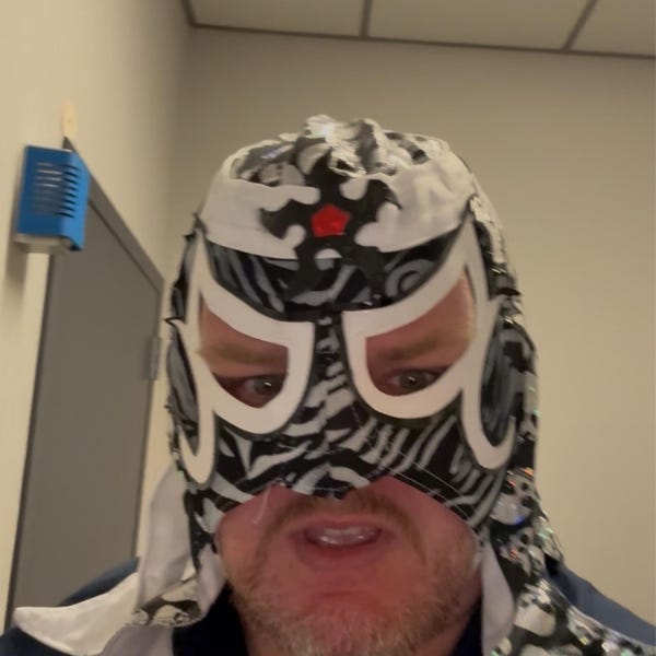 Hand Made MISTESIS Mask Wrestling Mask Luchador Costume Wrestler Lucha ...