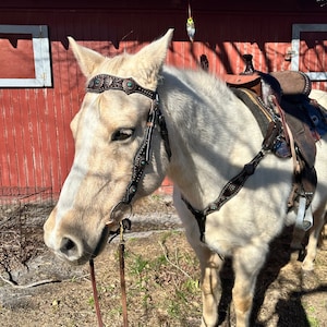 Light Oil Floral Tooled Buckaroo Style Browband Headstall / Bridle - Etsy