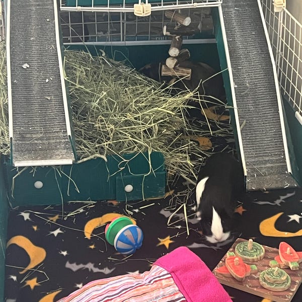 Custom Fleece C&C Cage Liner - 1x2 2x2 2x3 2x4 2x5 2x6 Liner | Fleece ...