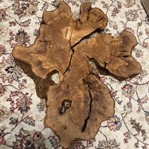 26-20 Inch Live Edge Olive Root Slices.olive Tree Root Slice.raw ...